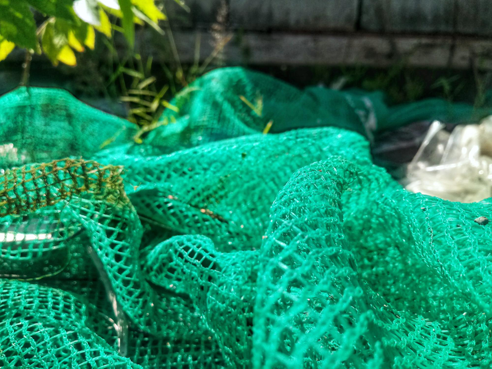 Сітка, садова сітка купити-продати в Україні — Agga